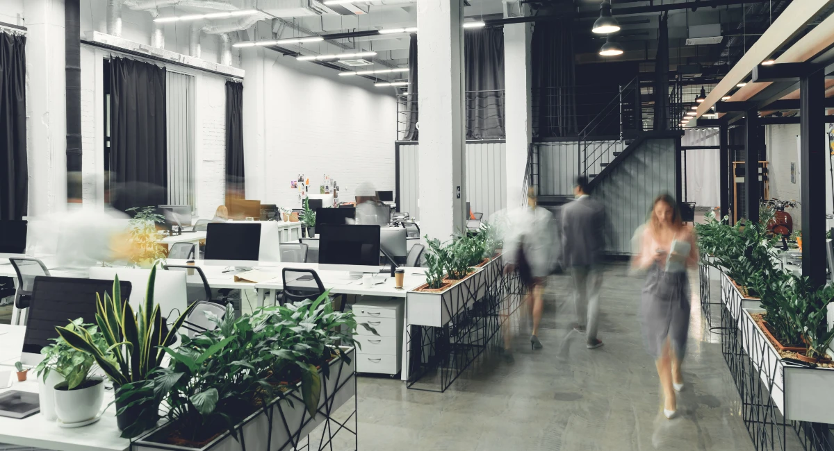 Green Services for Workplaces | Ambius